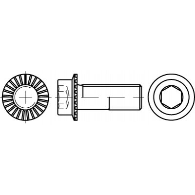 RIPP-Schrauben online kaufen