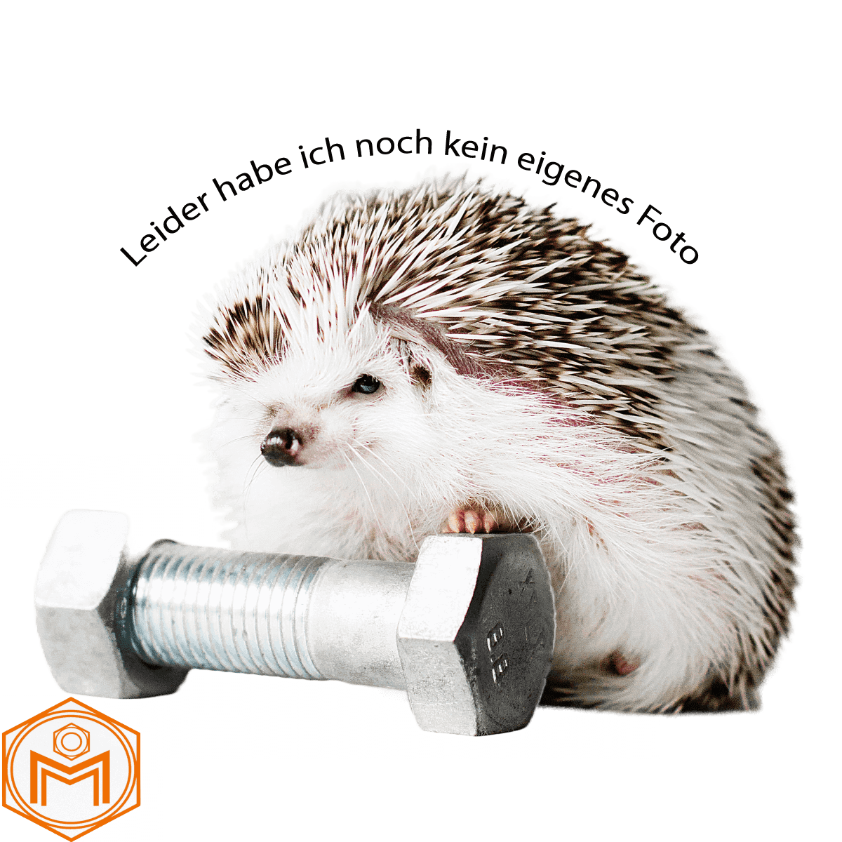 Kegelstifte online kaufen