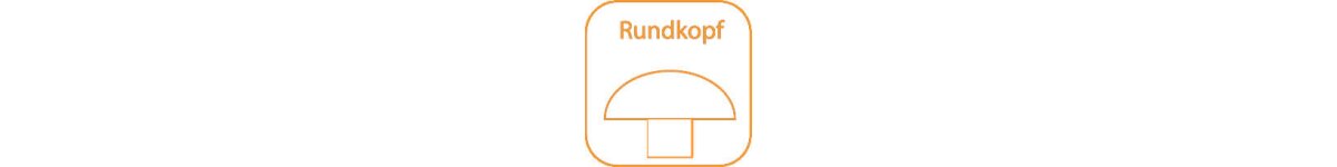 Holzschrauben - DIN 7996 - Rundkopf - Kreuzschlitz - A2, € 5,29