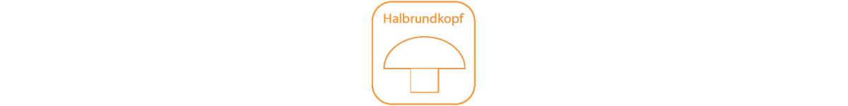 DIN 7996 - Holzschrauben Rundkopf A2 - Schraubenhandel24, € 6,78
