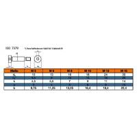 ISO 7379 Passschulterschrauben mit Innensechskant