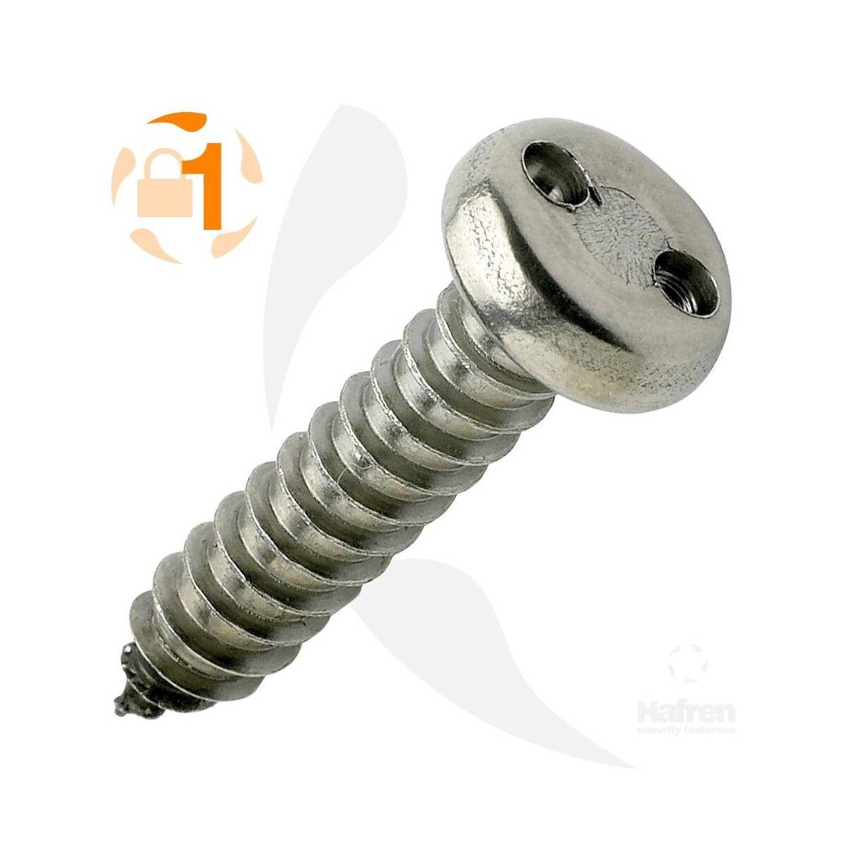 Blechschrauben Zweiloch Linsenkopf A2, € 11,12