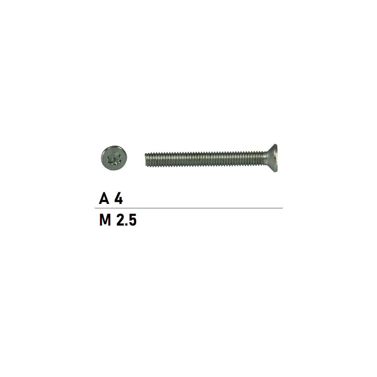 ISO 14581 Senkkopfschrauben TX A4 - M2,5, € 19,99