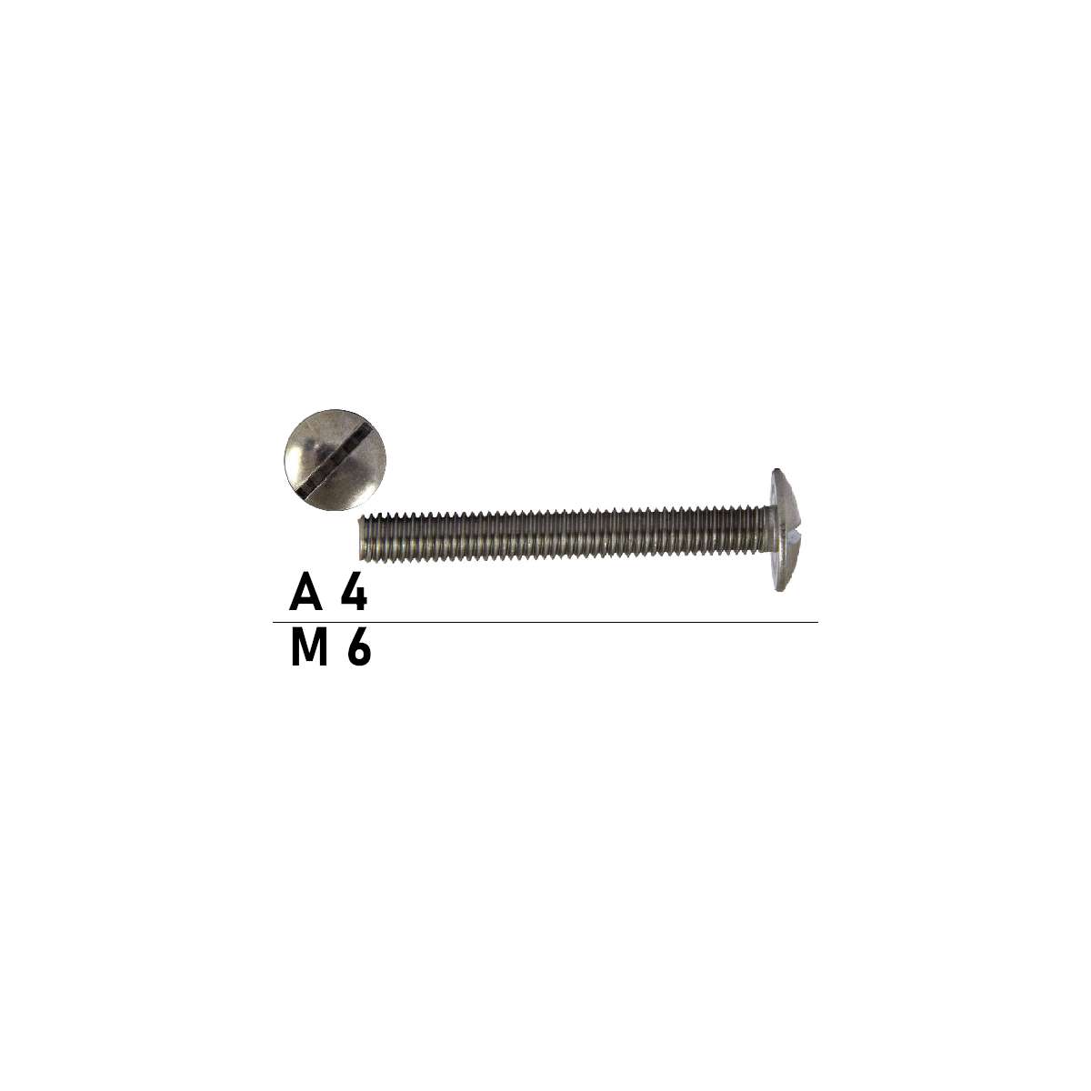 Flachrundschrauben mit Schlitz A4 - VG - M6, € 61,48