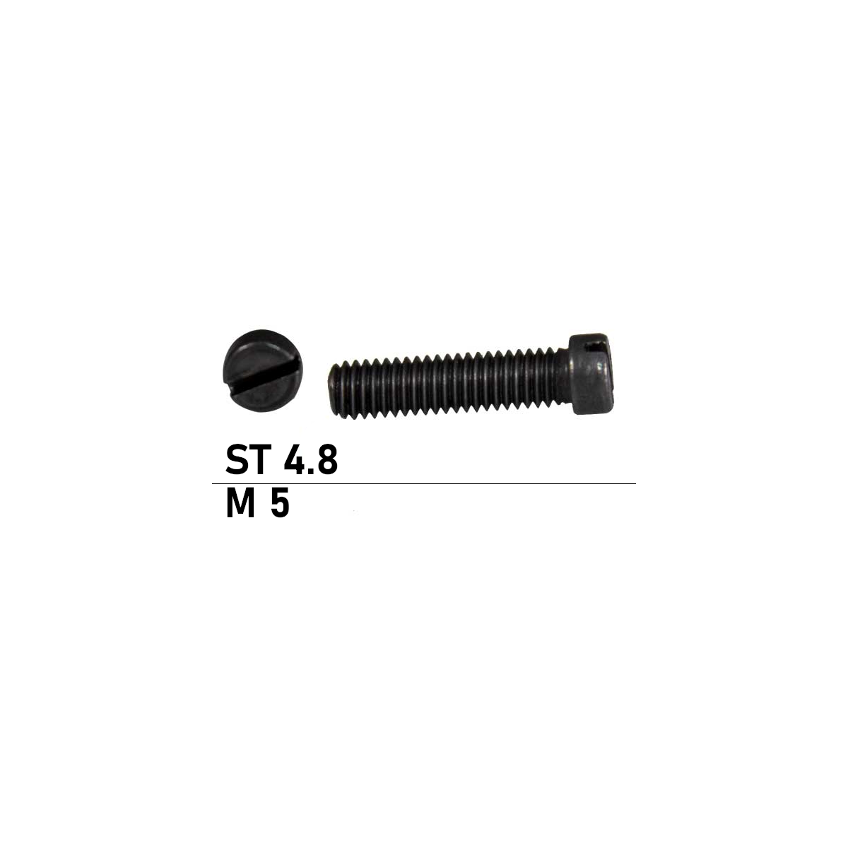 DIN 920 Flachkopfschrauben kl. Kopf Stahl 4.8 - M5, € 13,28